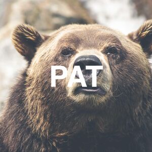 PAT FL C1 MSA in NEW YORK, NY | Rockbot